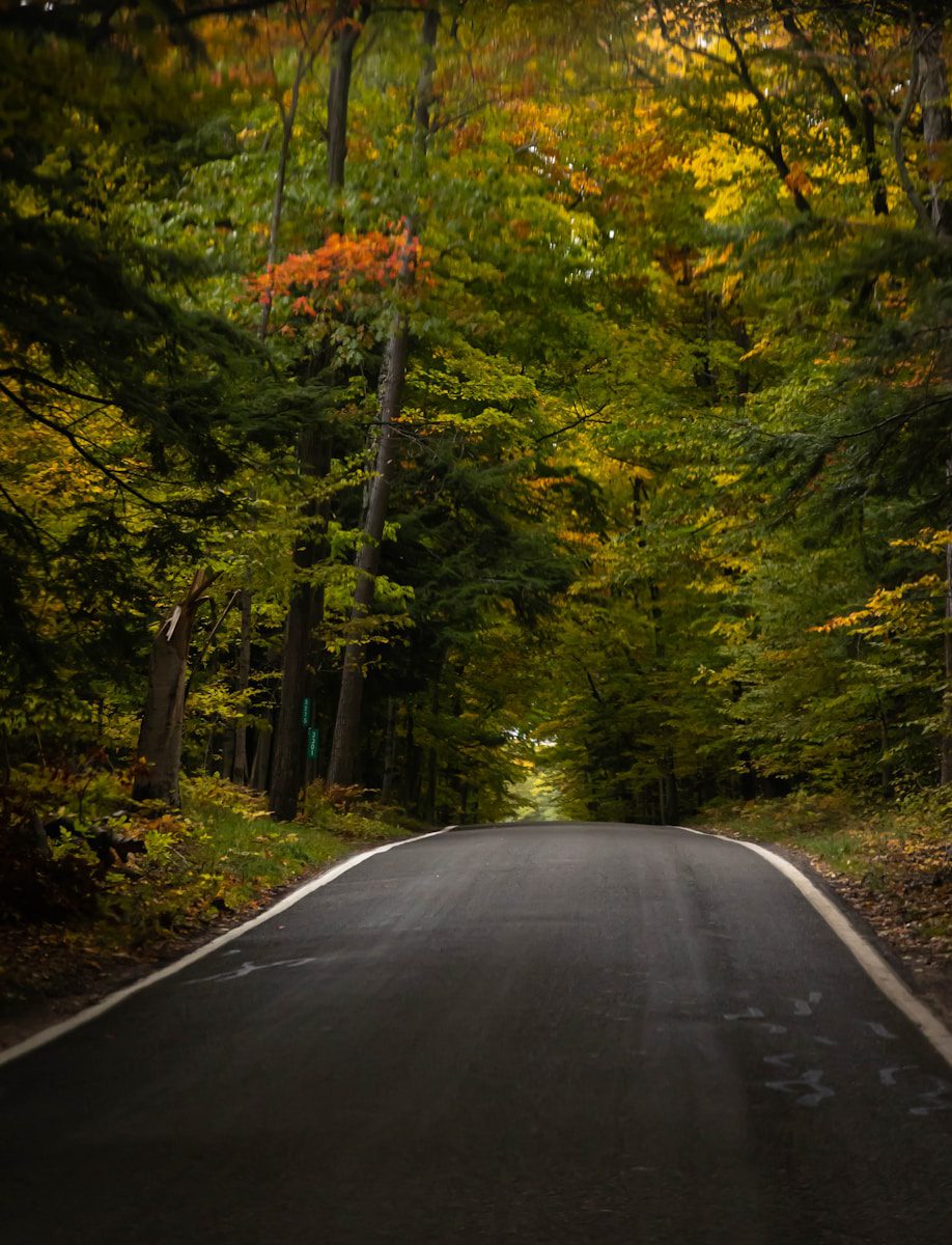 Fall in Forsyth County, GA - LivinginForsyth.com